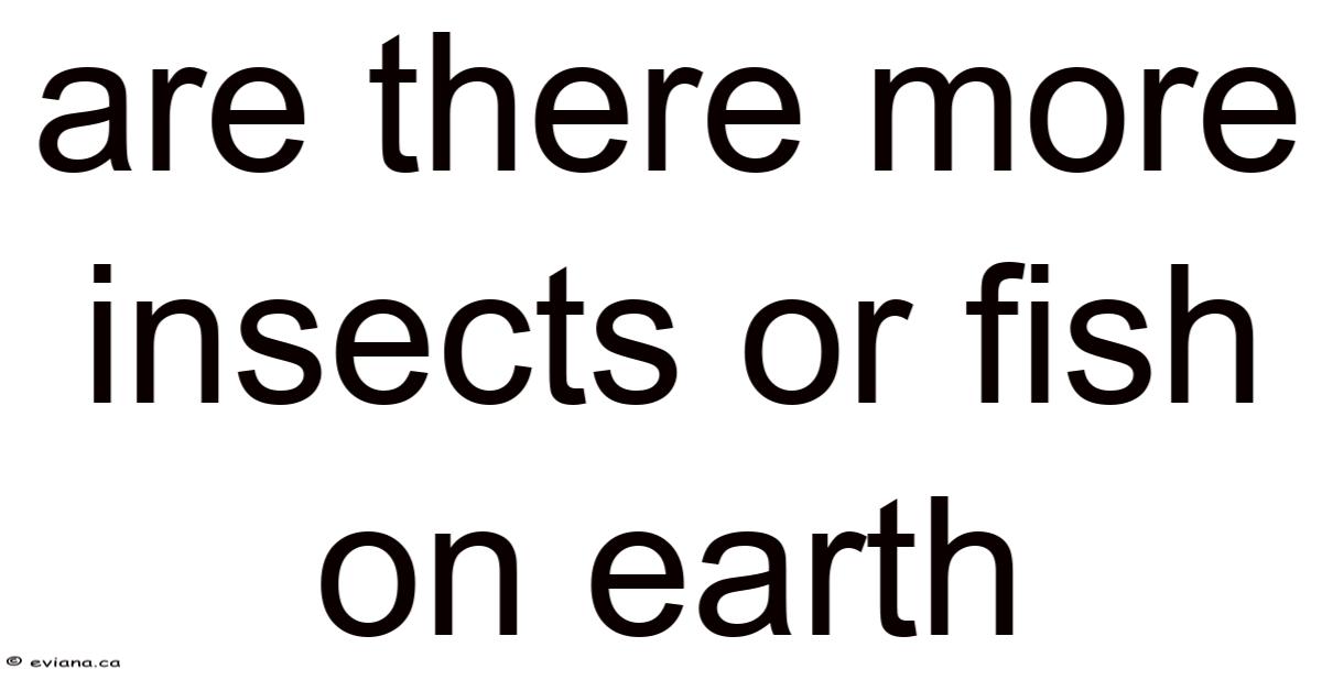 Are There More Insects Or Fish On Earth