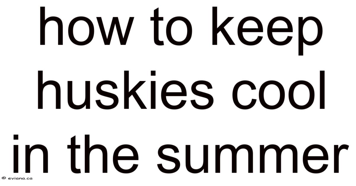 How To Keep Huskies Cool In The Summer
