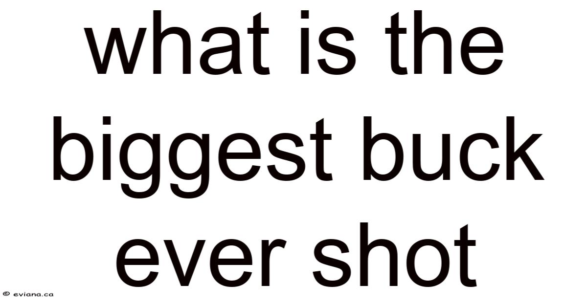 What Is The Biggest Buck Ever Shot